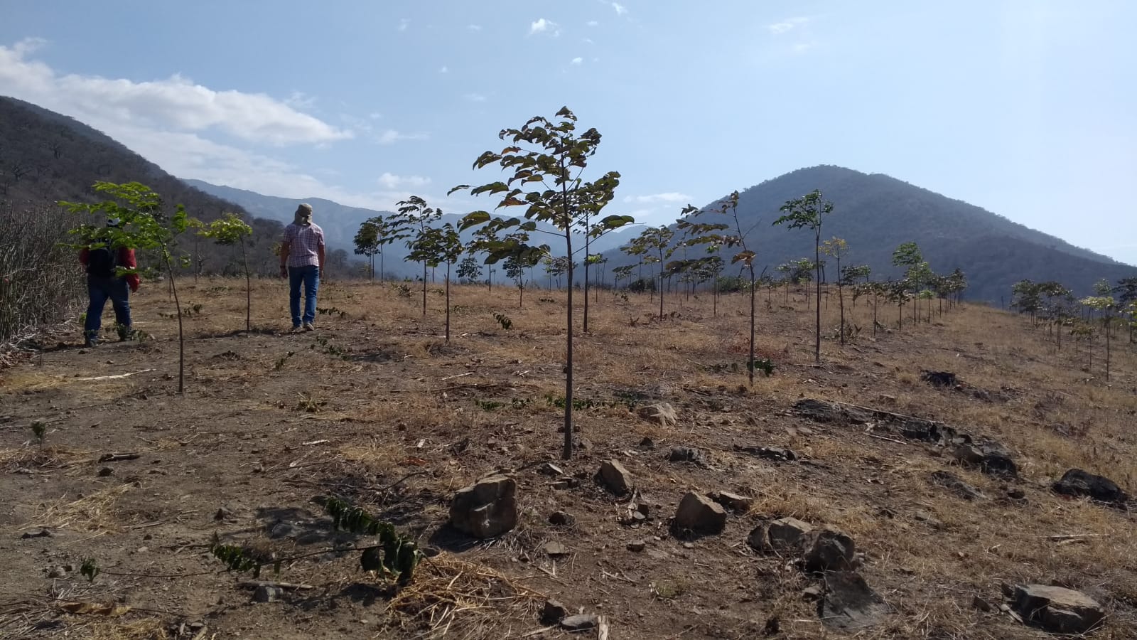 Treeapp | Your Profile