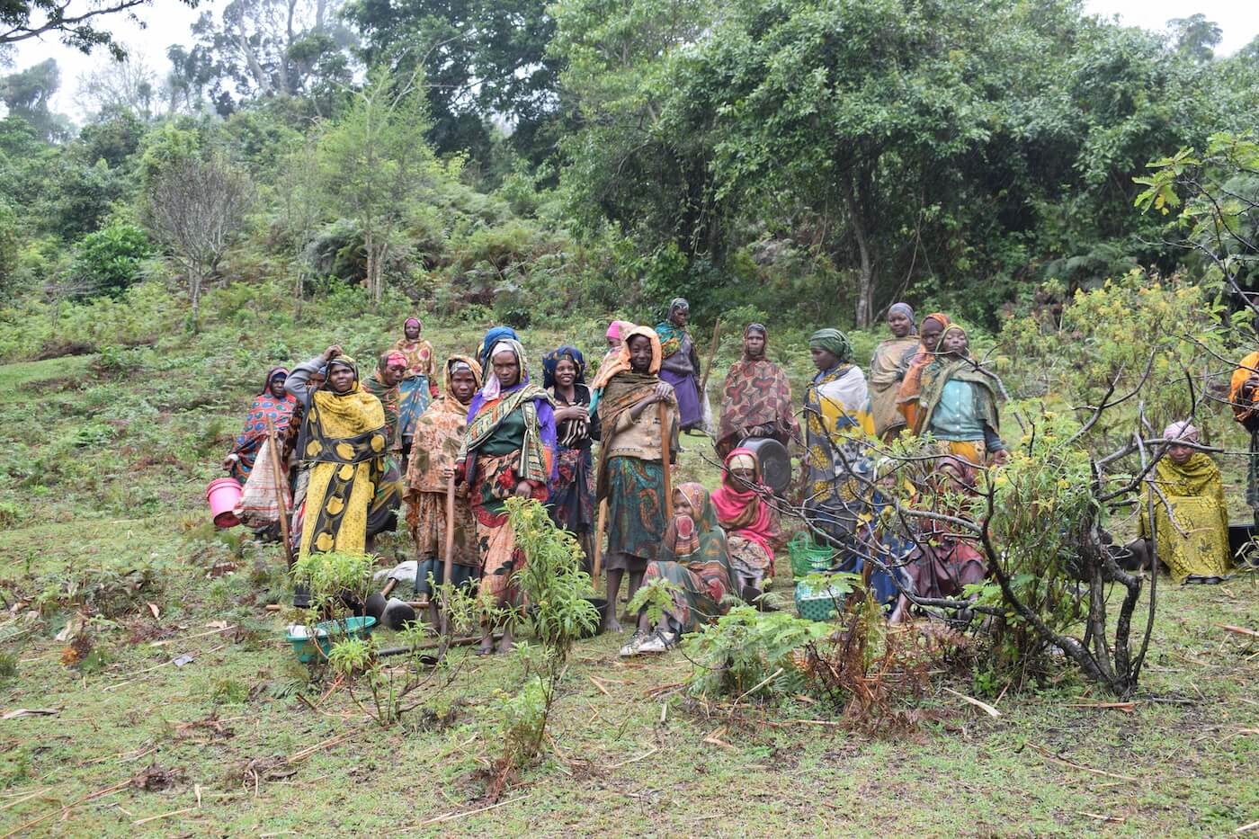 Treeapp | Your Profile